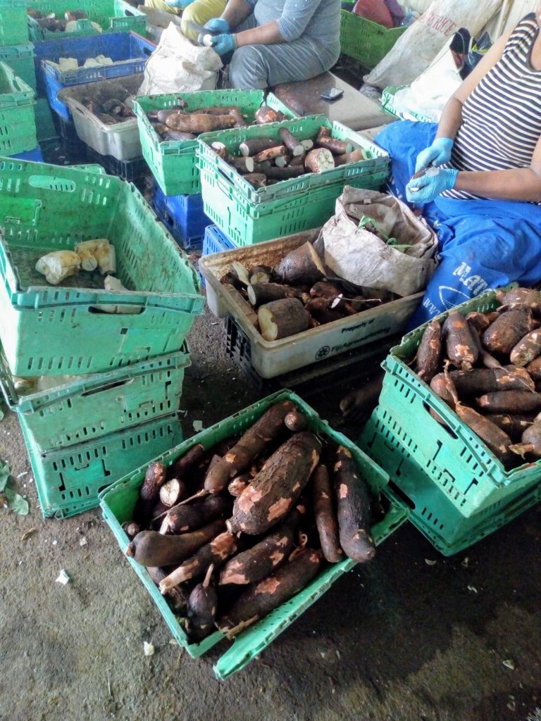 Three weeks in Fiji - Part 1: Agriculture | Sensonomic.com